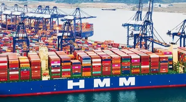 2024年HMM韩新海运净利润暴涨290%!（国际海运公司赚翻了）-百运网